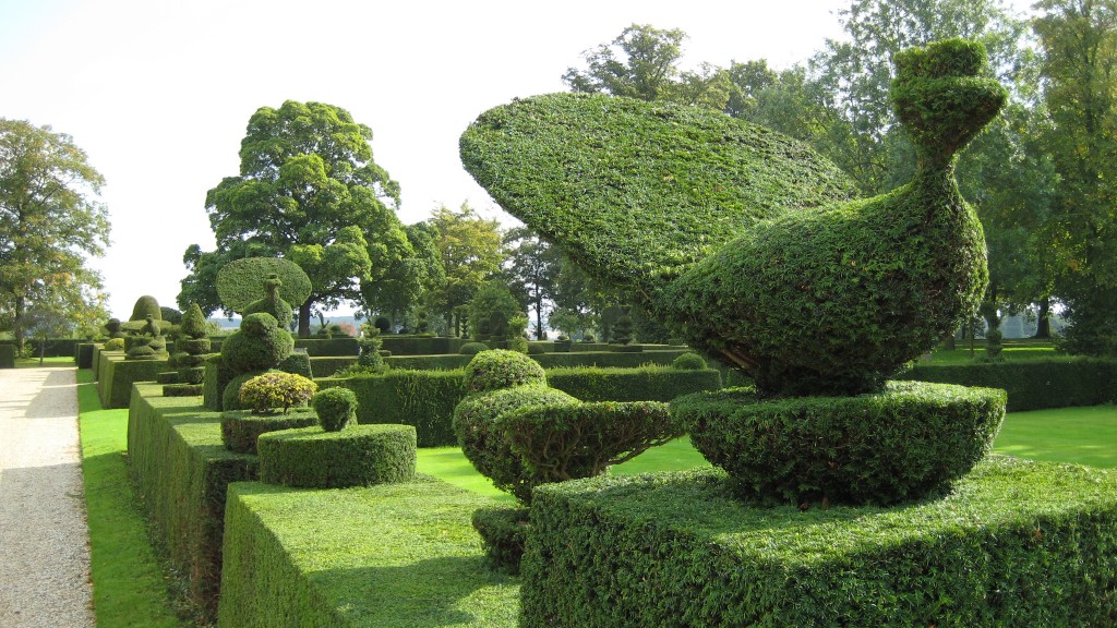 Grimsthorpe Castle, Park and Gardens | Introduction to Topiary